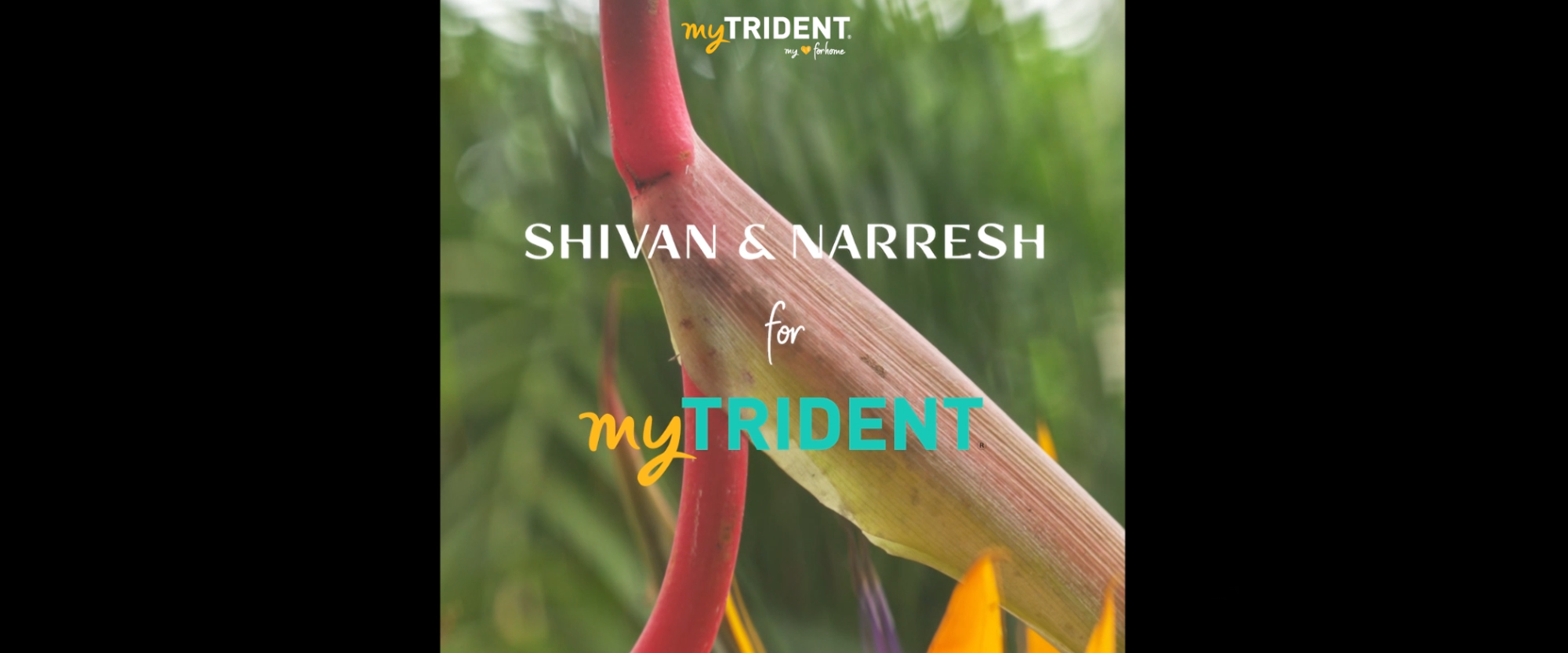Buy Premium Bedsheets, Rugs, Towels, Bathrobes Online – myTrident India