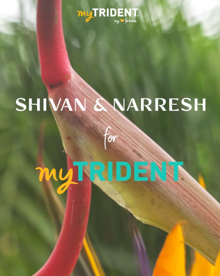 Buy Premium Bedsheets, Rugs, Towels, Bathrobes Online – myTrident India